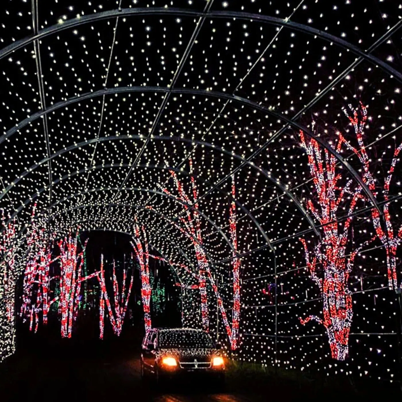 Shady Brook Farm Drive Through Holiday Light Show - Bucks County Parent