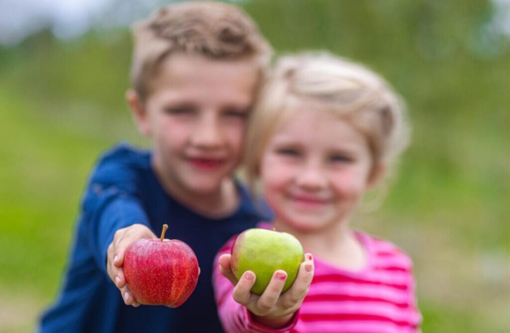 The Apple of My Eye: Your Guide to Bucks County Apple Picking and ...