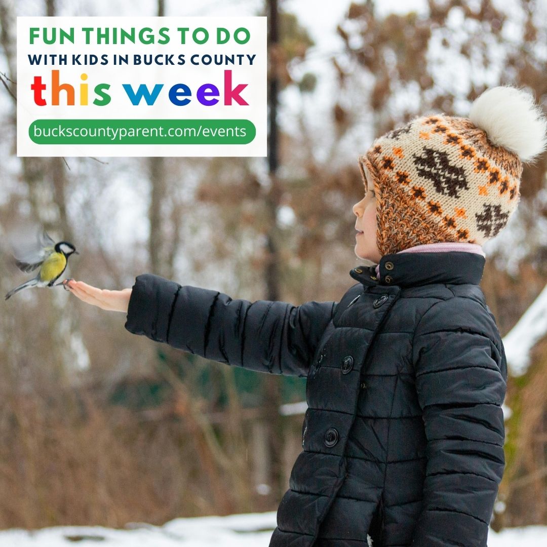 Wild Lights at Elmwood Park Zoo - Bucks County Parent