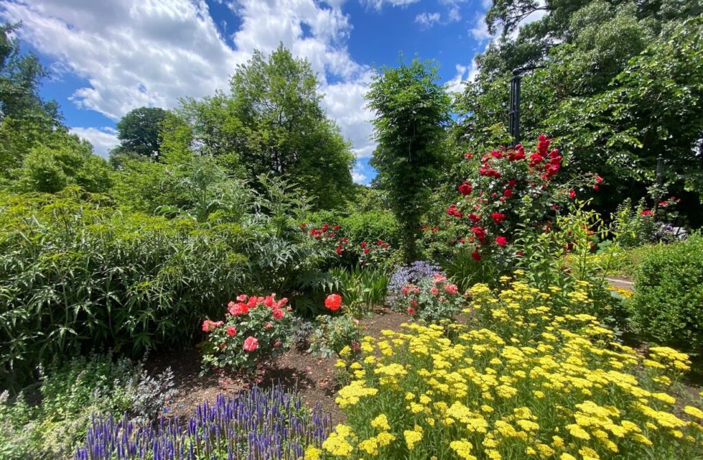 Bucks County Gardens and Arboretums: Immerse Yourself in Nature's Beauty