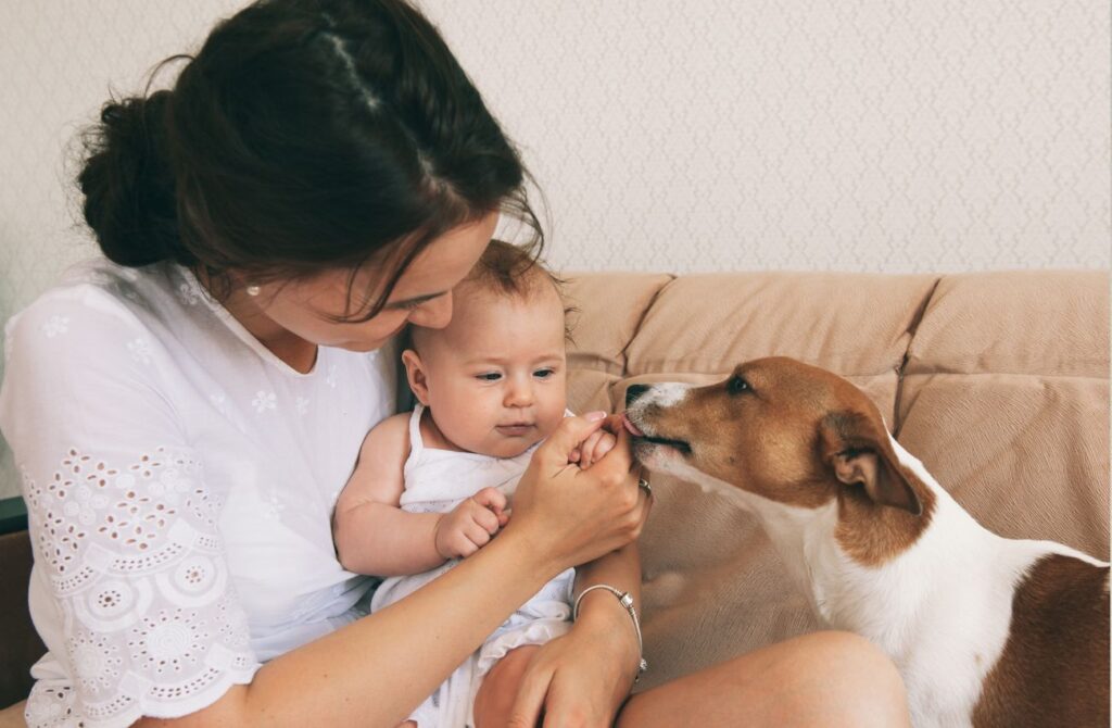 Bucks County Parent Pet Guide - Bucks County Parent