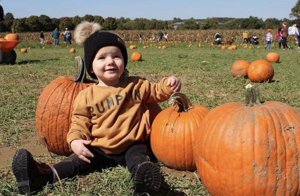 10 Pumpkin Picking Farms in and Around Bucks County - Bucks County Parent