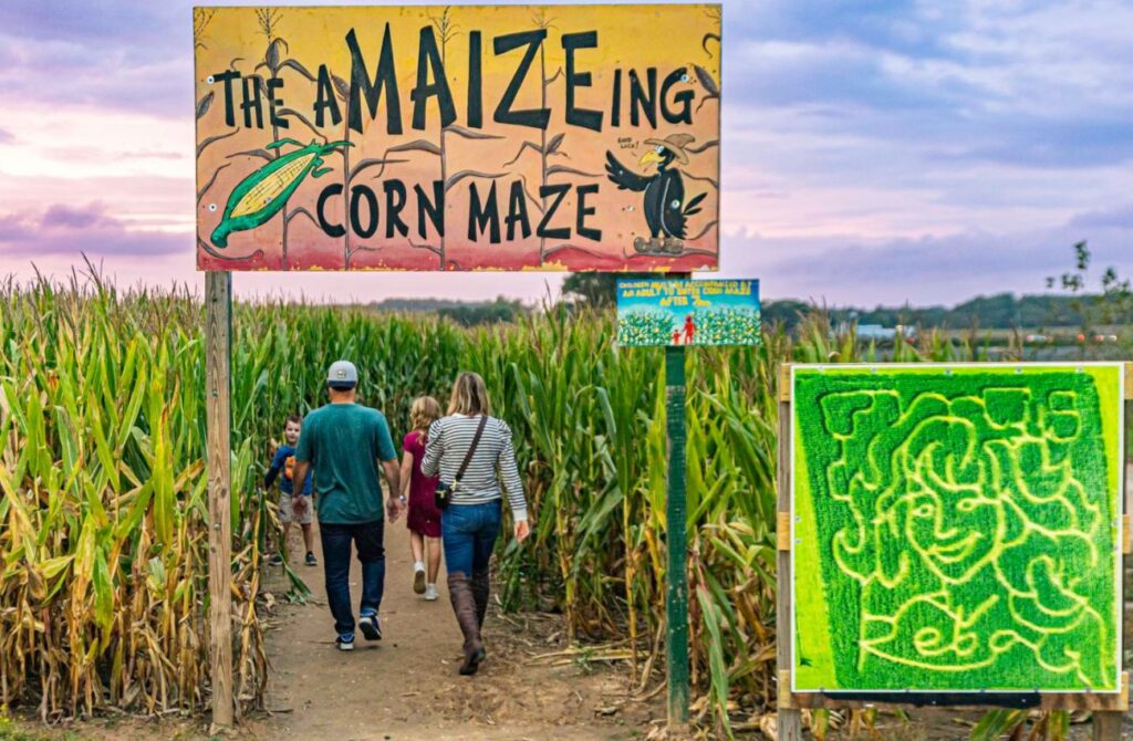 Get Lost in the Best Corn Mazes in Bucks County and Beyond! - Bucks ...