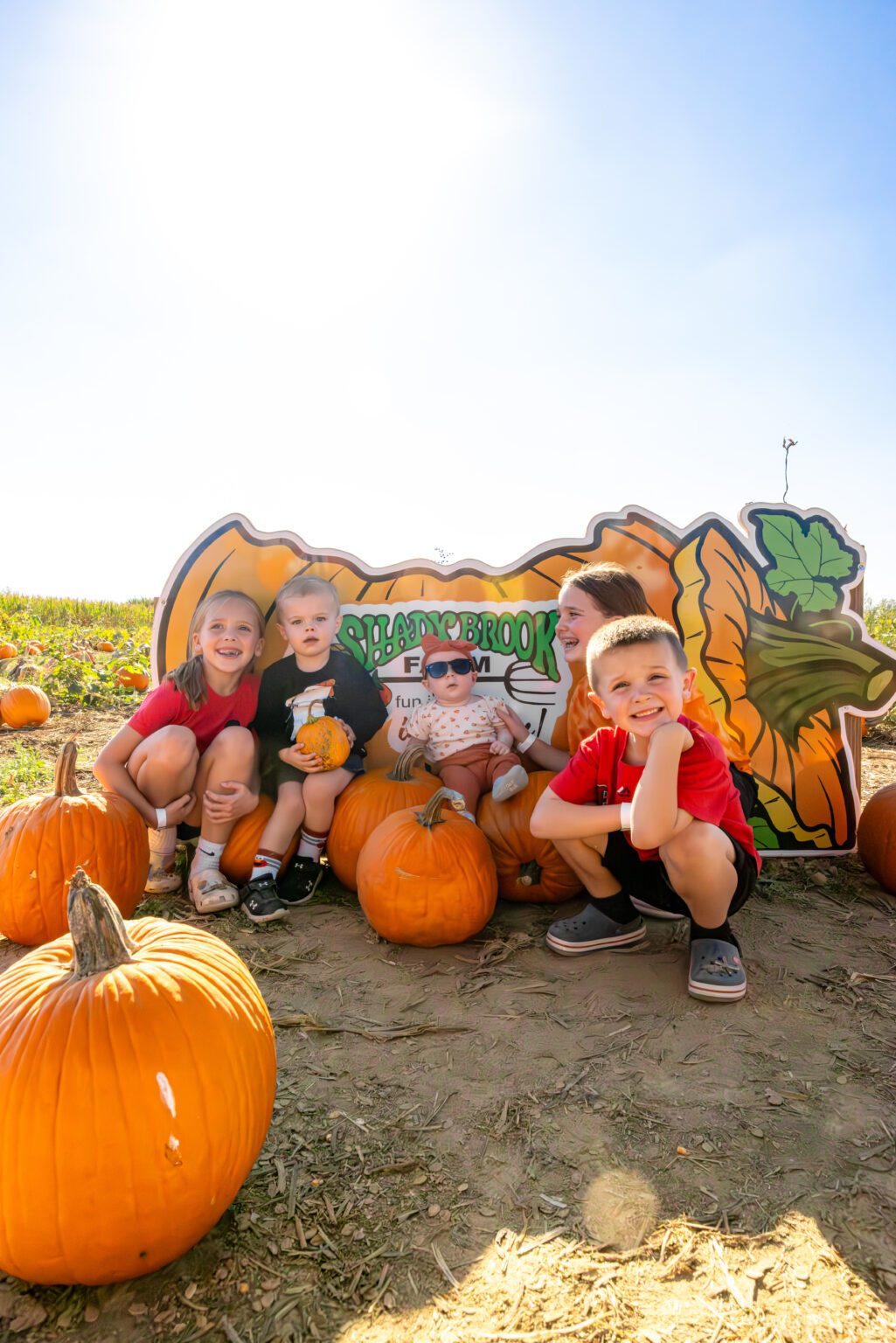 Shady Brook Farm Fall Fest - Bucks County Parent